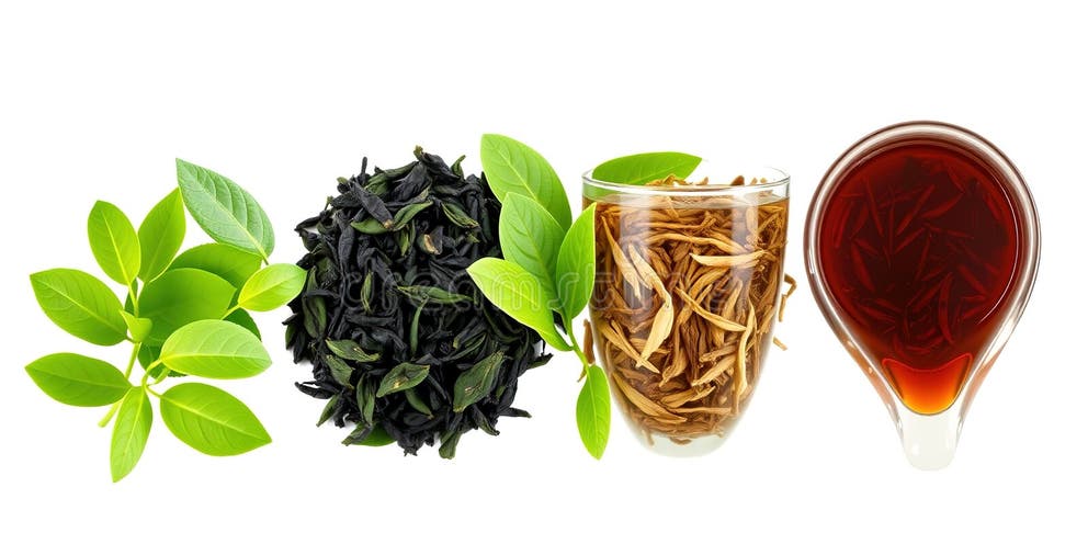 A Diverse Selection of Black White Oolong and Green Teas a Visual ...