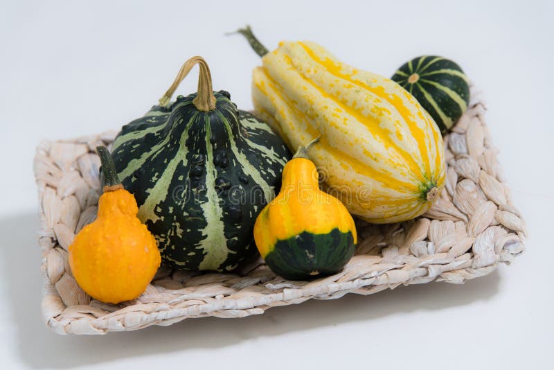 Sier pompoen stock afbeelding. Image of daling, decoratie - 48618685