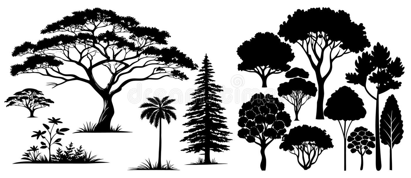 Evergreen Palm Tree Vector Stock Illustrations – 4,946 Evergreen Palm ...