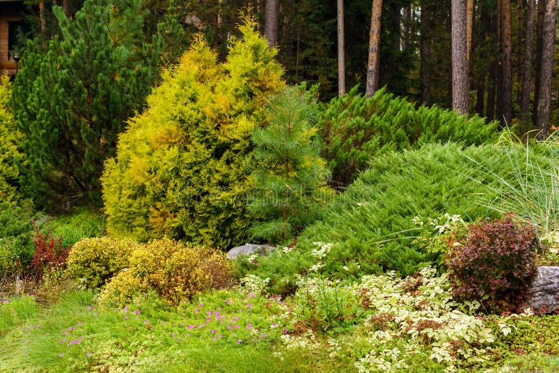 Diverse Vegetation in a Landscaped Area Stock Image - Image of green ...