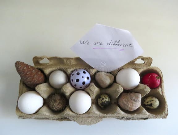 Diversity Concept Using Mixed Objects in Egg Carton Stock Photo - Image ...