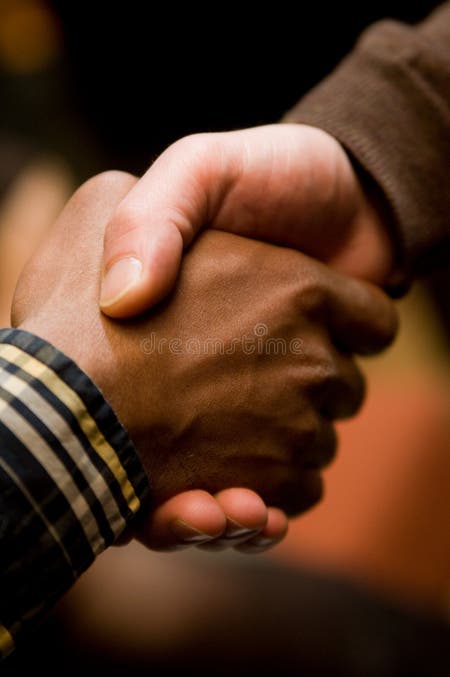 Diversity Handshake stock photo. Image of hello, bond - 12754442
