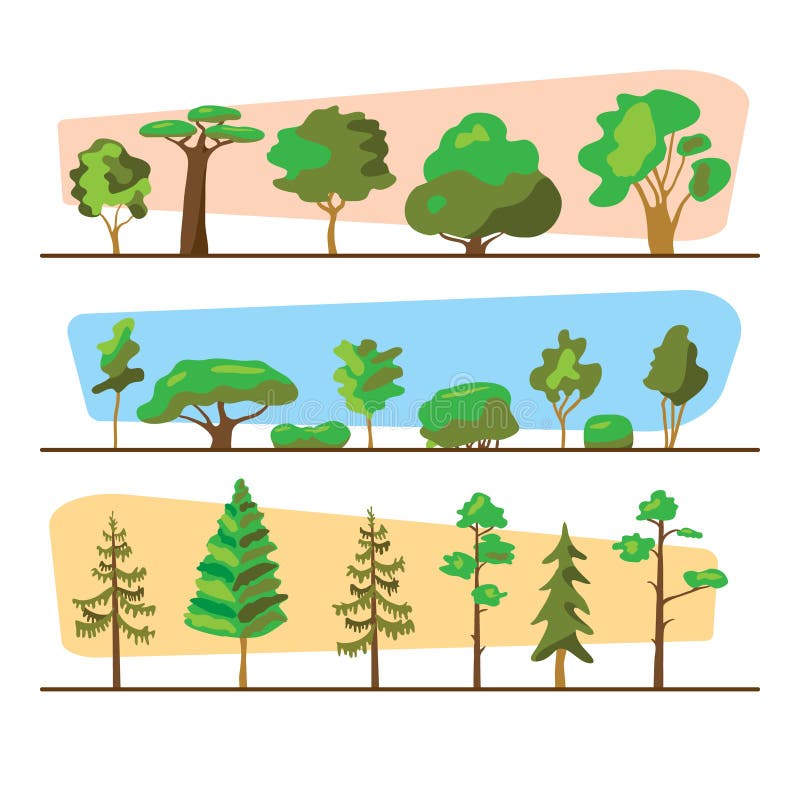 Diversity of Trees Set on White Stock Vector - Illustration of garden ...