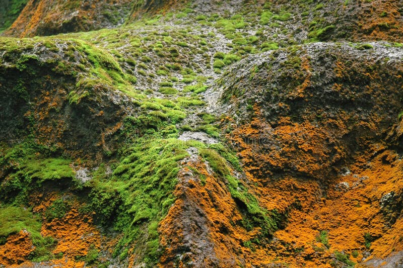 Musgo en la roca imagen de archivo. Imagen de exterior - 104067071