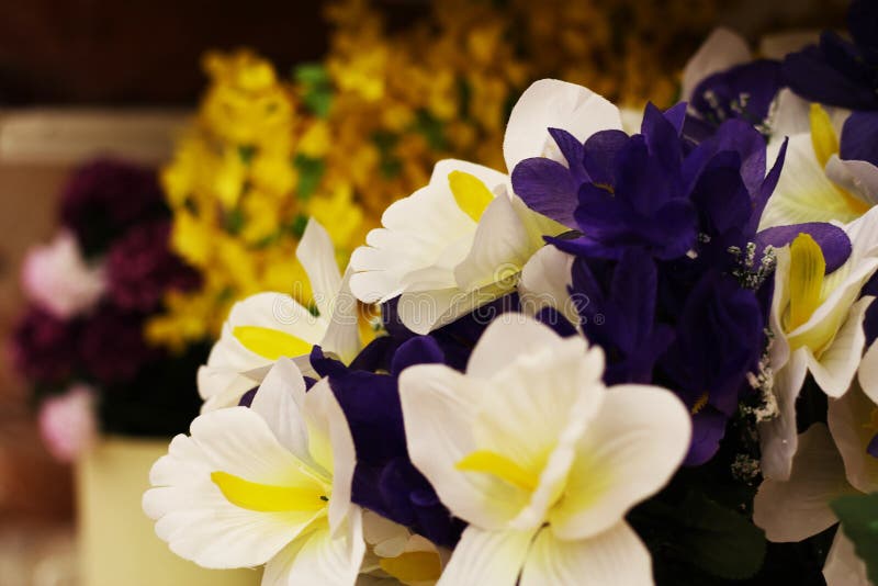 Diverso Ramo De La Violeta De Las Flores Imagen de archivo - Imagen de ...