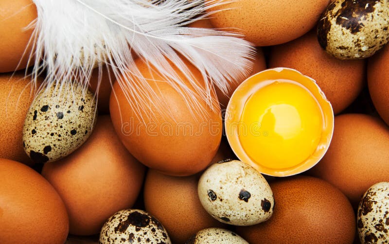 Diversos tipos de huevos imagen de archivo. Imagen de grupo - 50136125