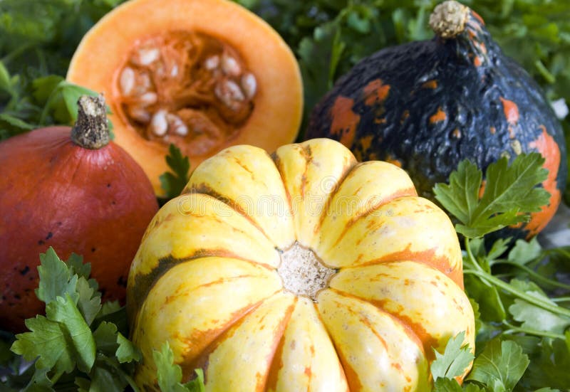Diversos Tipos De La Calabaza Imagen de archivo - Imagen de nutritivo ...