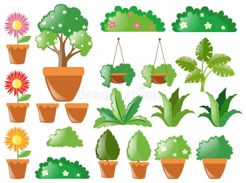 Diversos tipos de plantas ilustración del vector. Ilustración de ...