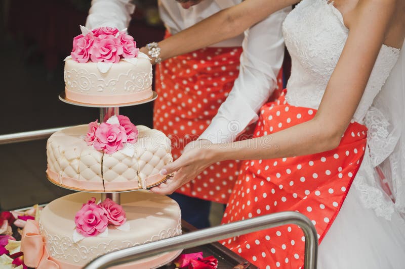 Divide the Cake into Pieces for Wanting To Eat Stock Image - Image of ...