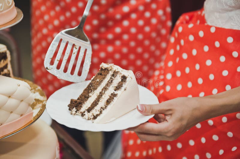 Divide the Cake into Pieces for Wanting To Eat Stock Image - Image of ...