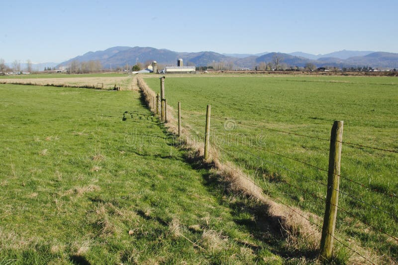 Divided Agricultural Land stock photo. Image of acre - 50677150