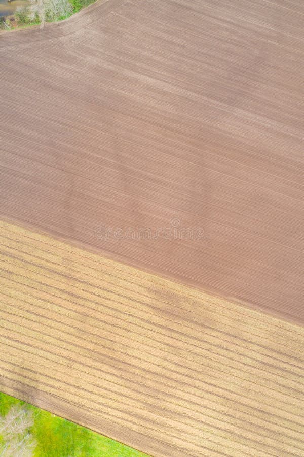 Divided Farmland with Different Cultivation Stages Aerial View Stock ...