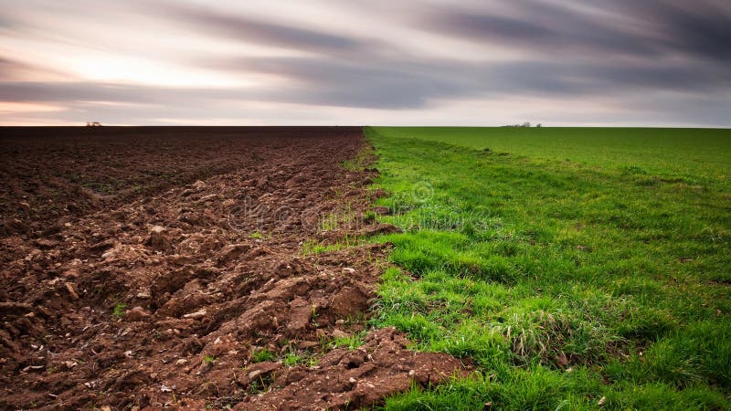 Divided Field: Plowed and Green Landscape Stock Illustration ...