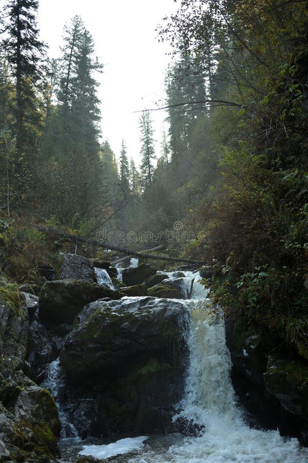 Divided into Two Channels, the River Flows in a Rapid Cascade, Bending ...