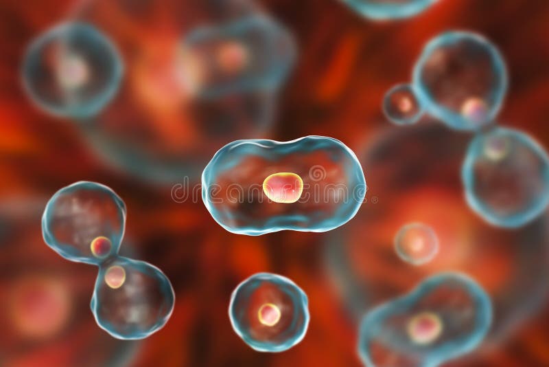 Dividing Cells on Colorful Background Stock Illustration - Illustration ...