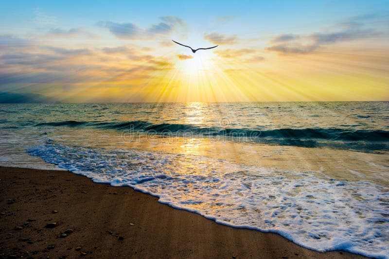 Divine Sunset with Sun Rays Stock Image - Image of easter, reach: 38794259