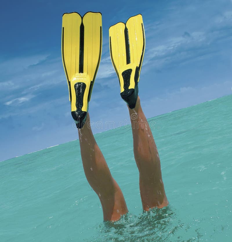 Diving equipment stock photo. Image of tour, background - 39360950