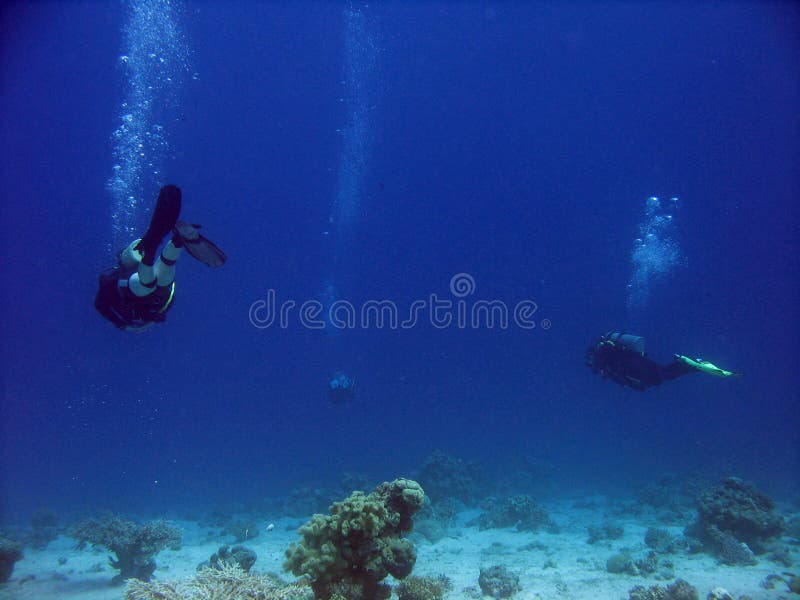 Diving Woman stock image. Image of slim, scuba, cyan, water - 891159
