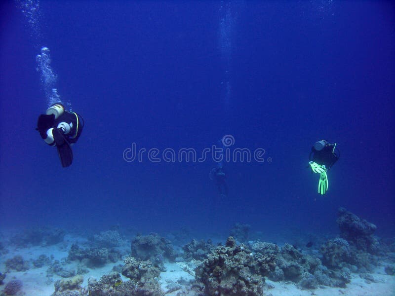Diving deep stock photo. Image of places, tropical, nature - 1224910