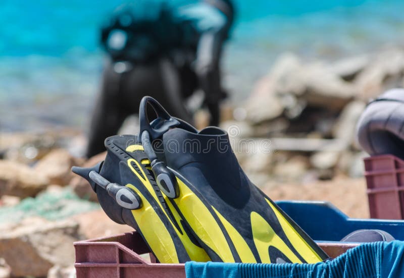 Diving Equipment in a Crate on the Beach in Egypt Stock Photo - Image ...