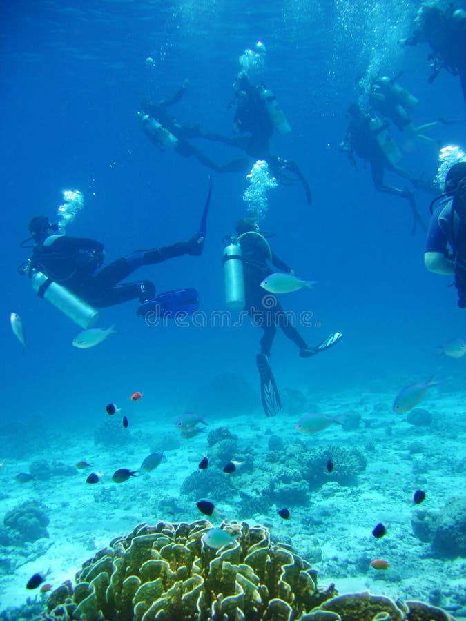 Diving is fun, sometimes stock image. Image of ocean - 14406921