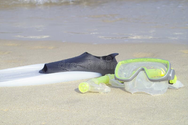 Angelfish stock image. Image of sponge, angelfish, snorkel - 2371627