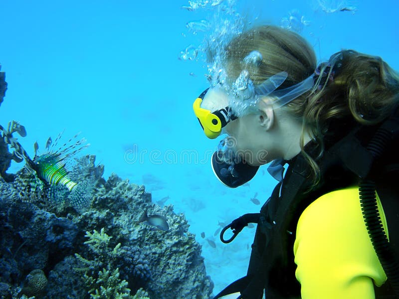 Diving girl stock photo. Image of blue, water, girl, aqualung - 6742586