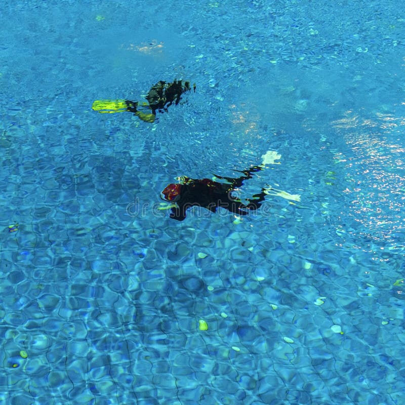 Diving Instructor and Students. Instructor Teaches Students To Dive in ...