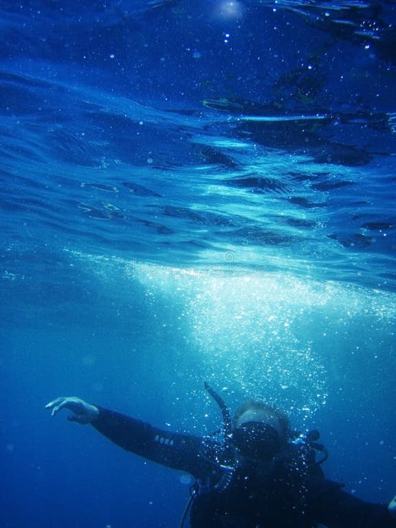 Diving lesson stock photo. Image of outdoor, coral, snorkeller - 7138754