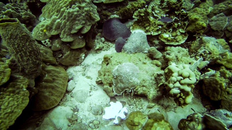 Marine Landscape with Underwater View Stock Photo - Image of beautiful ...