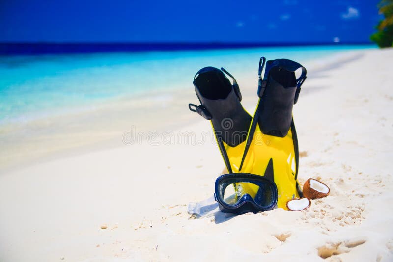 Diving Mask with Fins on Beach Stock Image - Image of mask, palm: 11429645