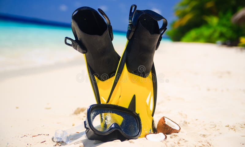 Diving Mask with Fins on Beach Stock Photo - Image of sports, scuba ...