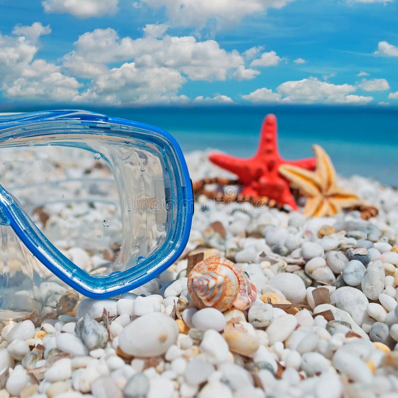 Diving mask and shell stock image. Image of swimming - 31749699