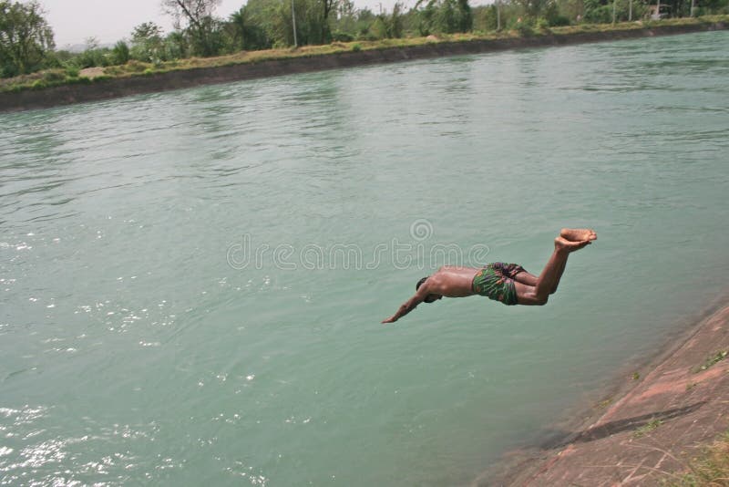 Swimmers dive in start stock photo. Image of women, swimming - 1961384