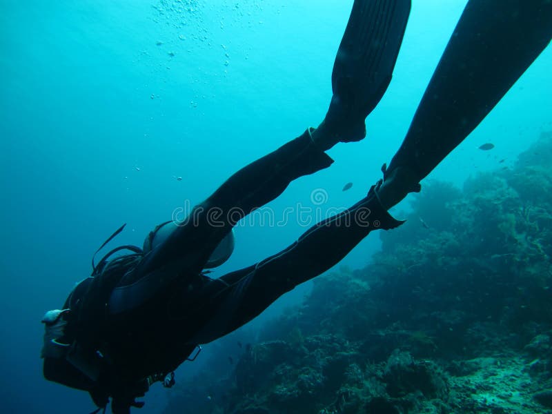 Diving in sea stock image. Image of scuba, people, blue - 23529827