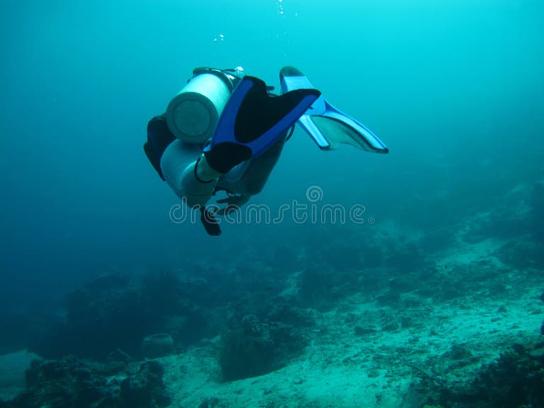 Diving in sea stock photo. Image of woman, diving, sport - 23529962