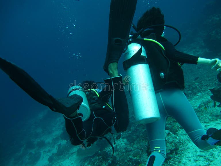 Diving in sea stock photo. Image of dive, sunbeam, sport - 25458060