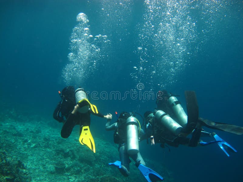 Three Friends Scuba Diving Together Stock Photo - Image of adventure ...