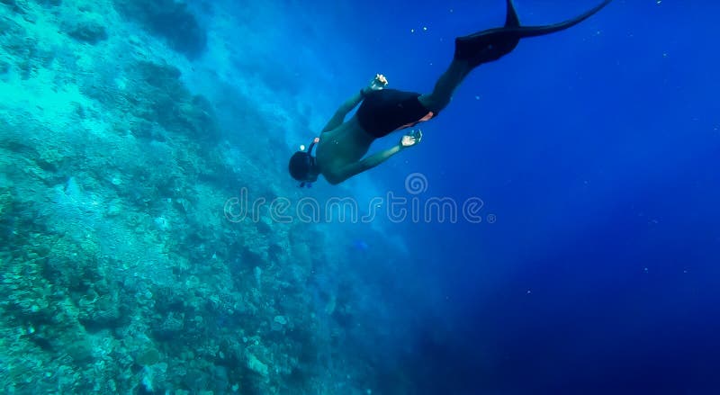 Diving without suit editorial stock photo. Image of sports - 201950518