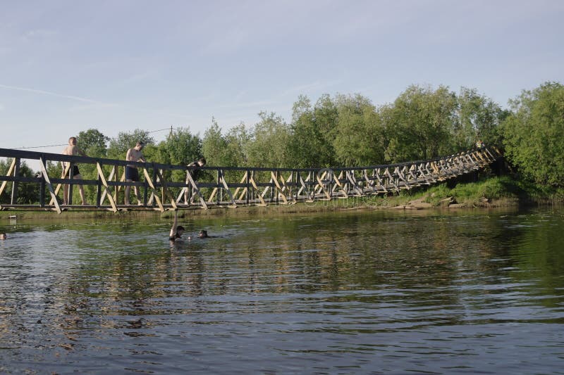 Diving from a Suspension Bridge into a River in Summer Editorial ...