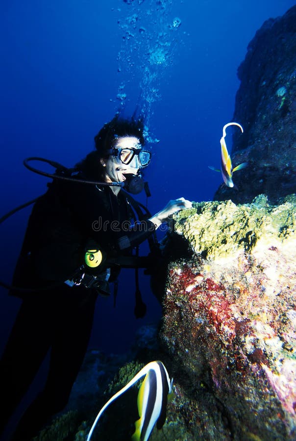 Diving Under Water stock image. Image of torch, marine - 1452885