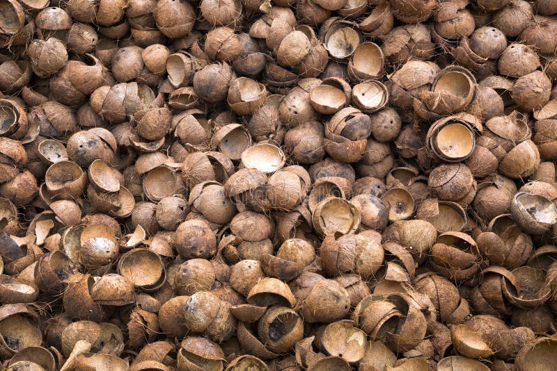 Coconut shells stock image. Image of organic, brown, peel - 25542847