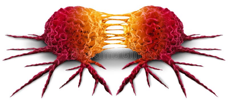 Division De La Cellule De Cancer Du Sein Illustration Stock ...