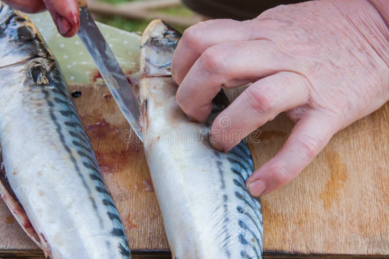 Division of fish stock image. Image of surface, wooden - 58929371