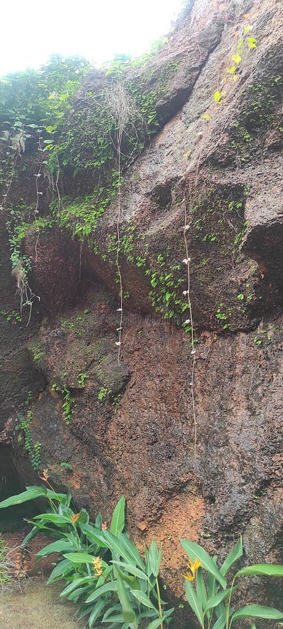 Diwar Island One of the Most Unique Places in Goa Stock Image - Image ...