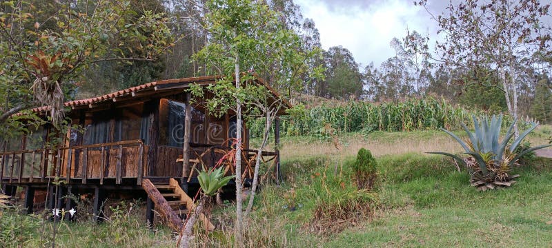 Diy Amazing Cabin Stock Photos - Free & Royalty-Free Stock Photos from ...