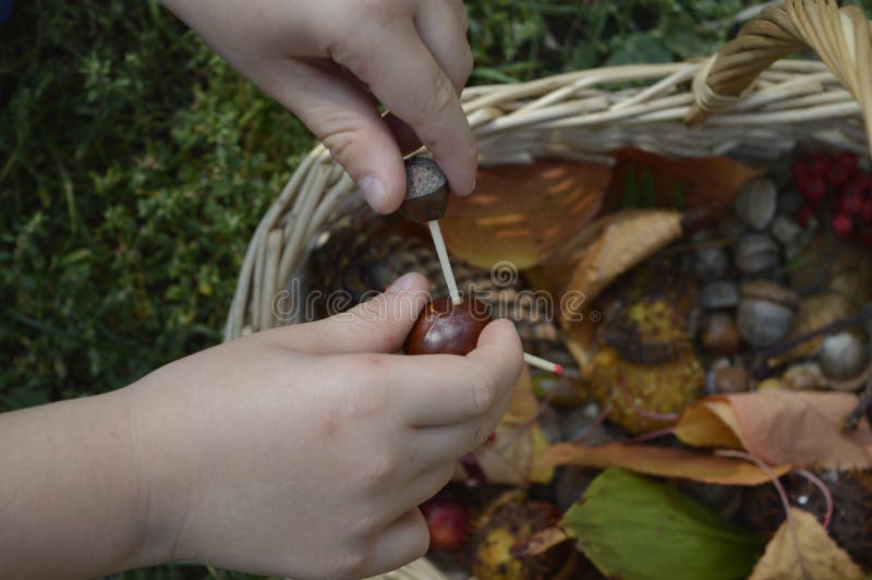 DIY: animals with acorn stock photo. Image of childs - 77448896