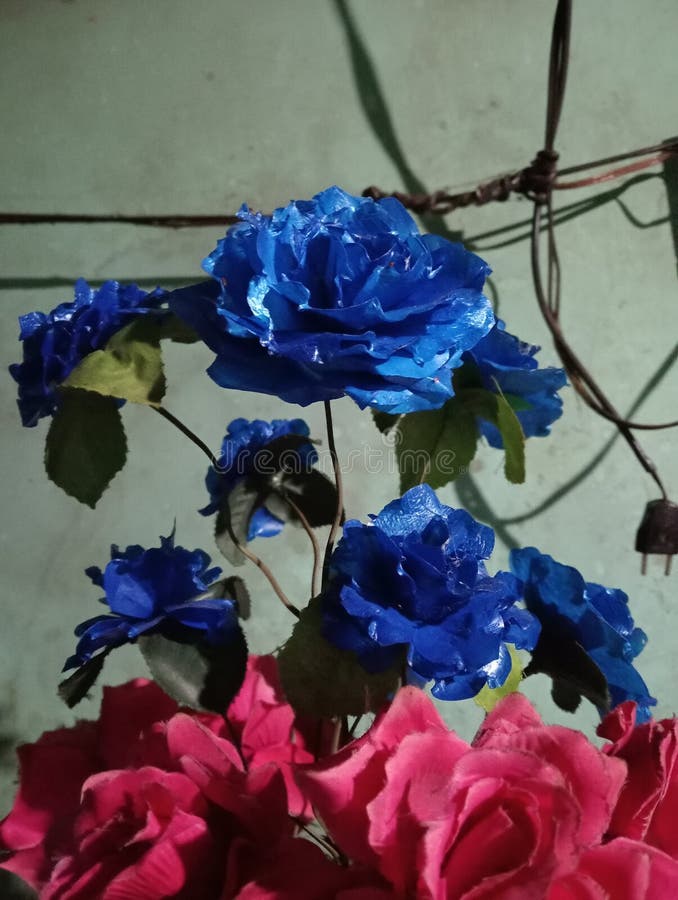 DIY Blue Rose Flower Made from Plastic Stock Image - Image of rose ...