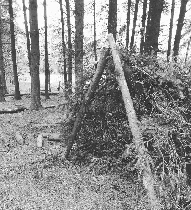 DIY Den stock photo. Image of camping, forest, build - 158407244