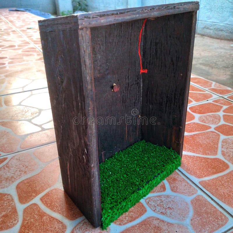 DIY Display Wood Grass Shelf Stock Image - Image of wood, shelf: 242587339